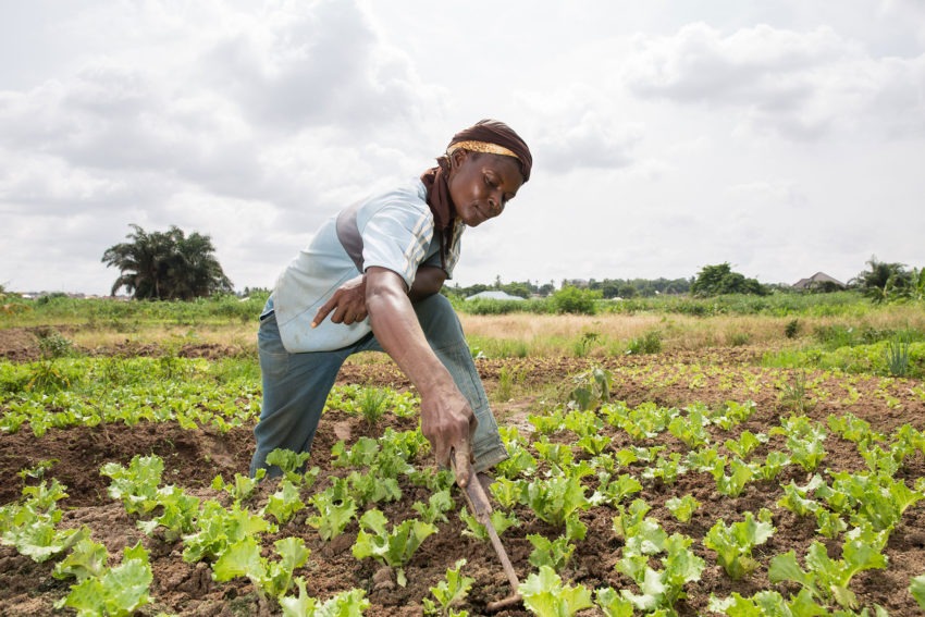 Our story – Farmerline