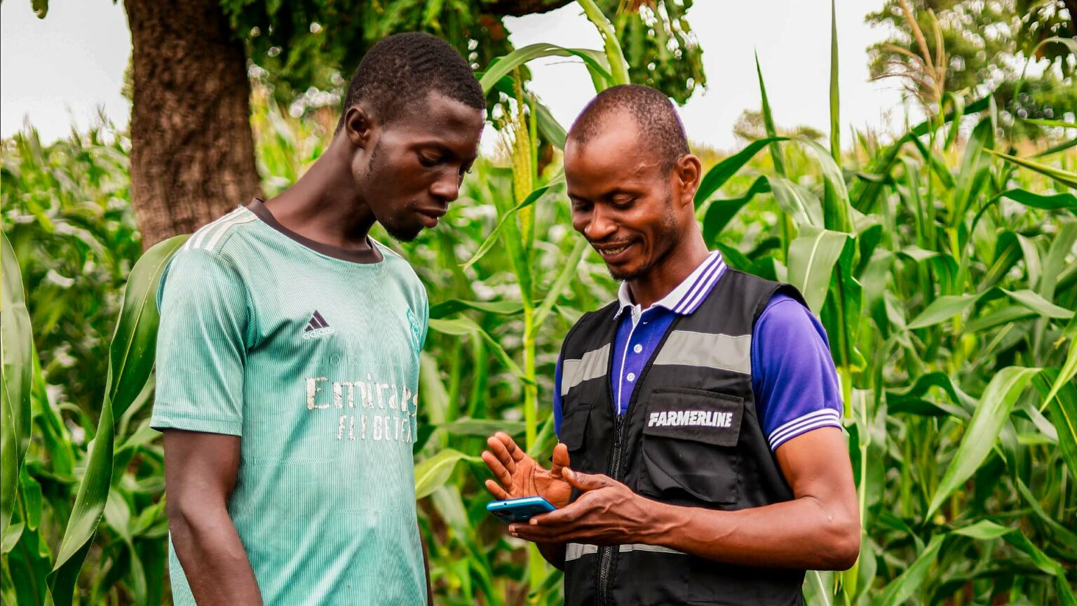 Bridging the Digital Divide: Why Combining Digital and In-Person ...